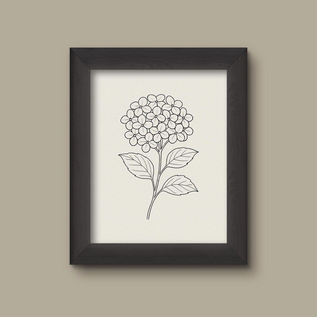 Minimalist Hydrangea Line Art Print | Hand-drawn Botanical Illustration ...