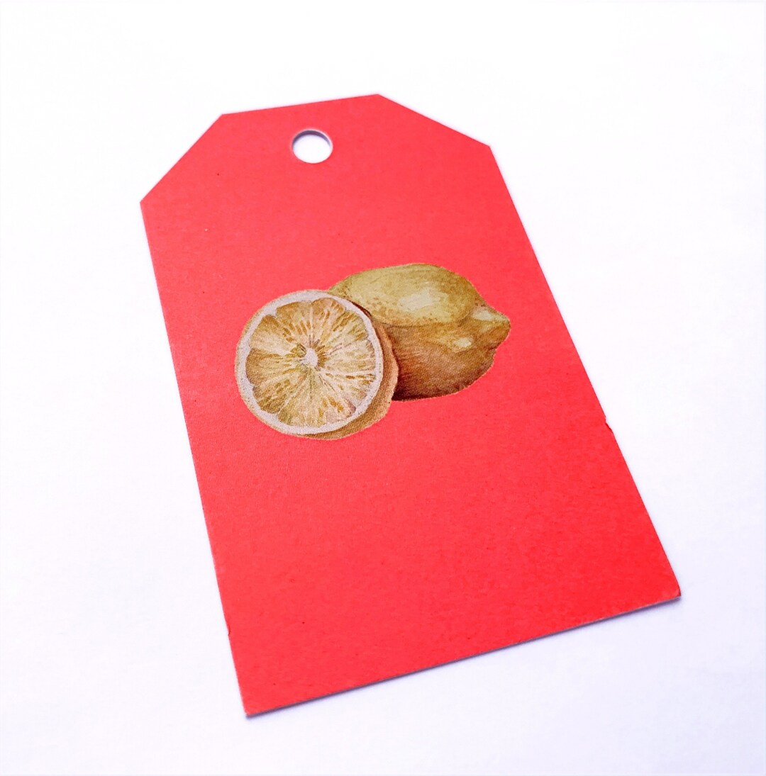 Lemon Gift Tag - Fruit Illustrated Watercolour Tag - Etsy