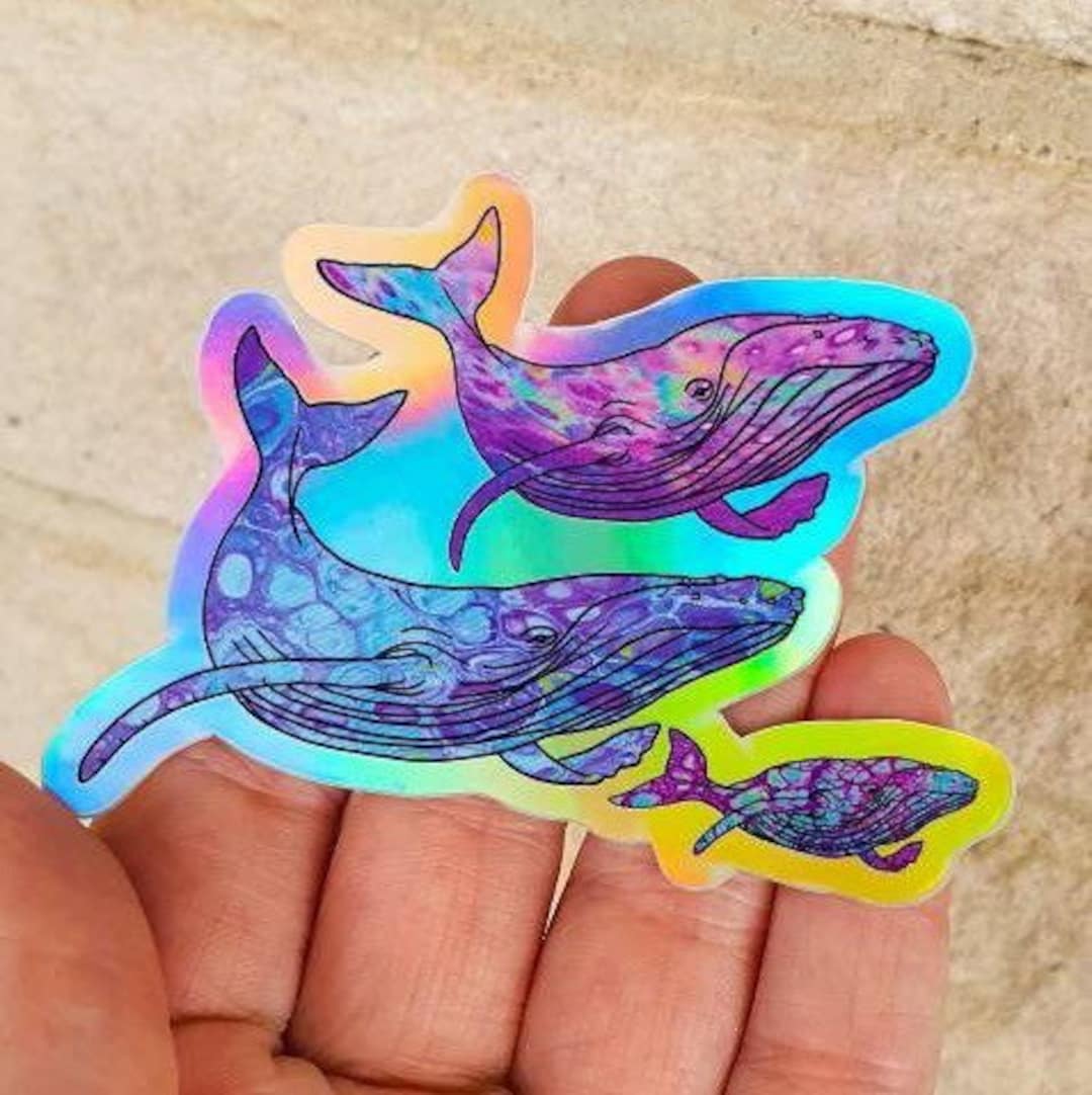 Whale Sticker. Whale Watching Sticker. Laptop Sticker. Water Bottle ...