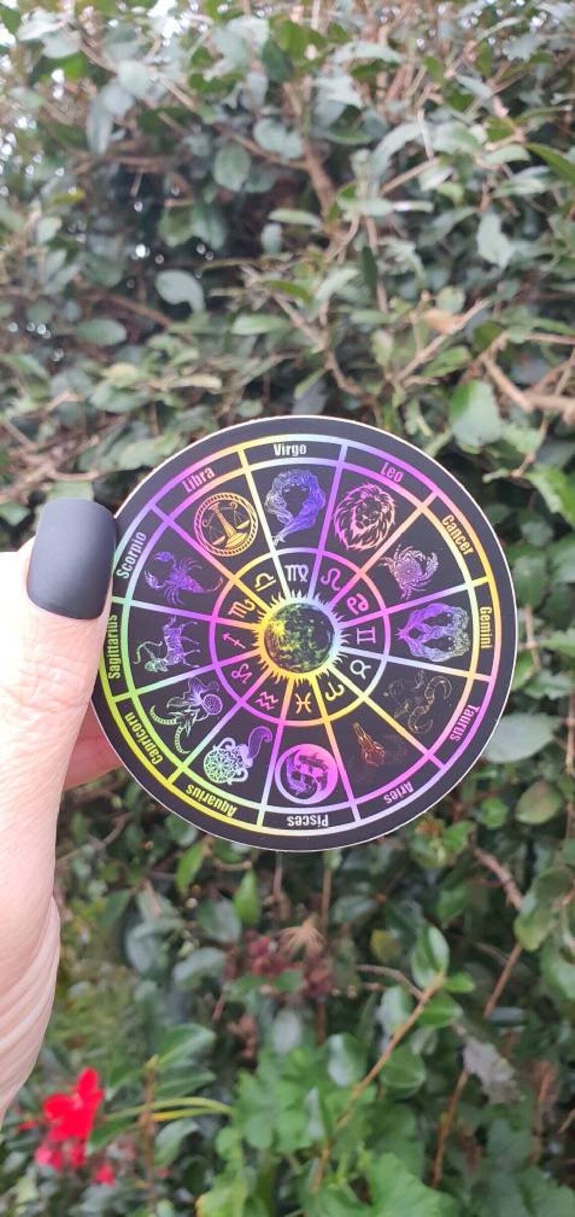 Circle Zodiac Signs Sticker. Star Sign Stickers. Waterproof - Etsy