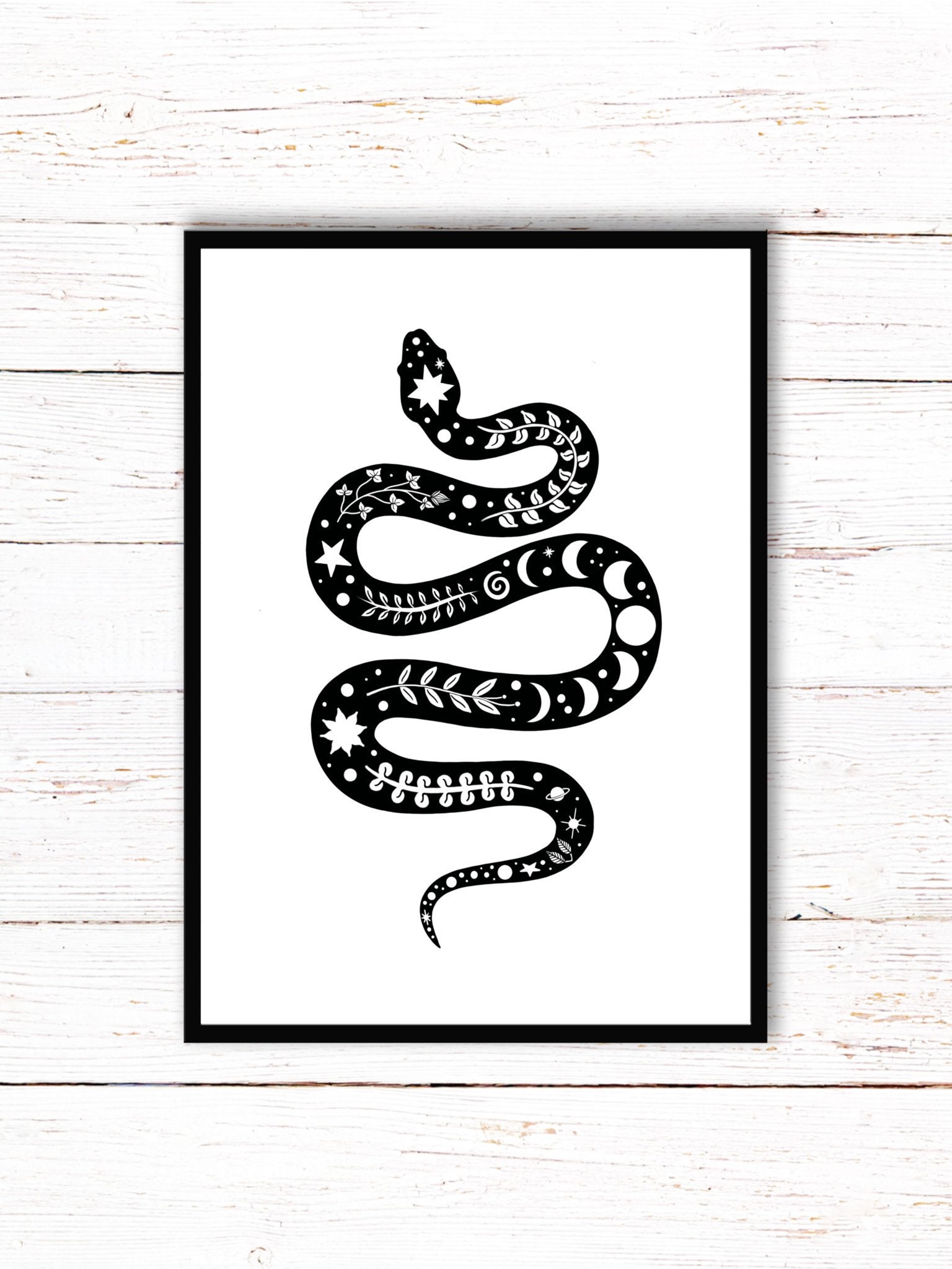 Black And White Snake Images