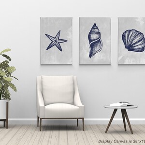 Seashells Navy Blue Illustration Old White Coastal Decor 3 Panel Canvas ...