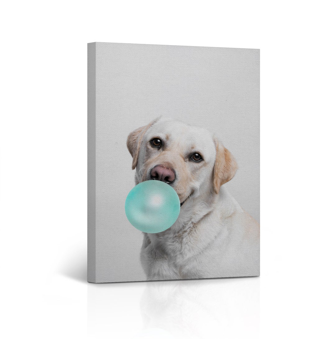 Cute Labrador Retriever Dog Blowing Teal Blue Bubble Gum Portrait Pop ...