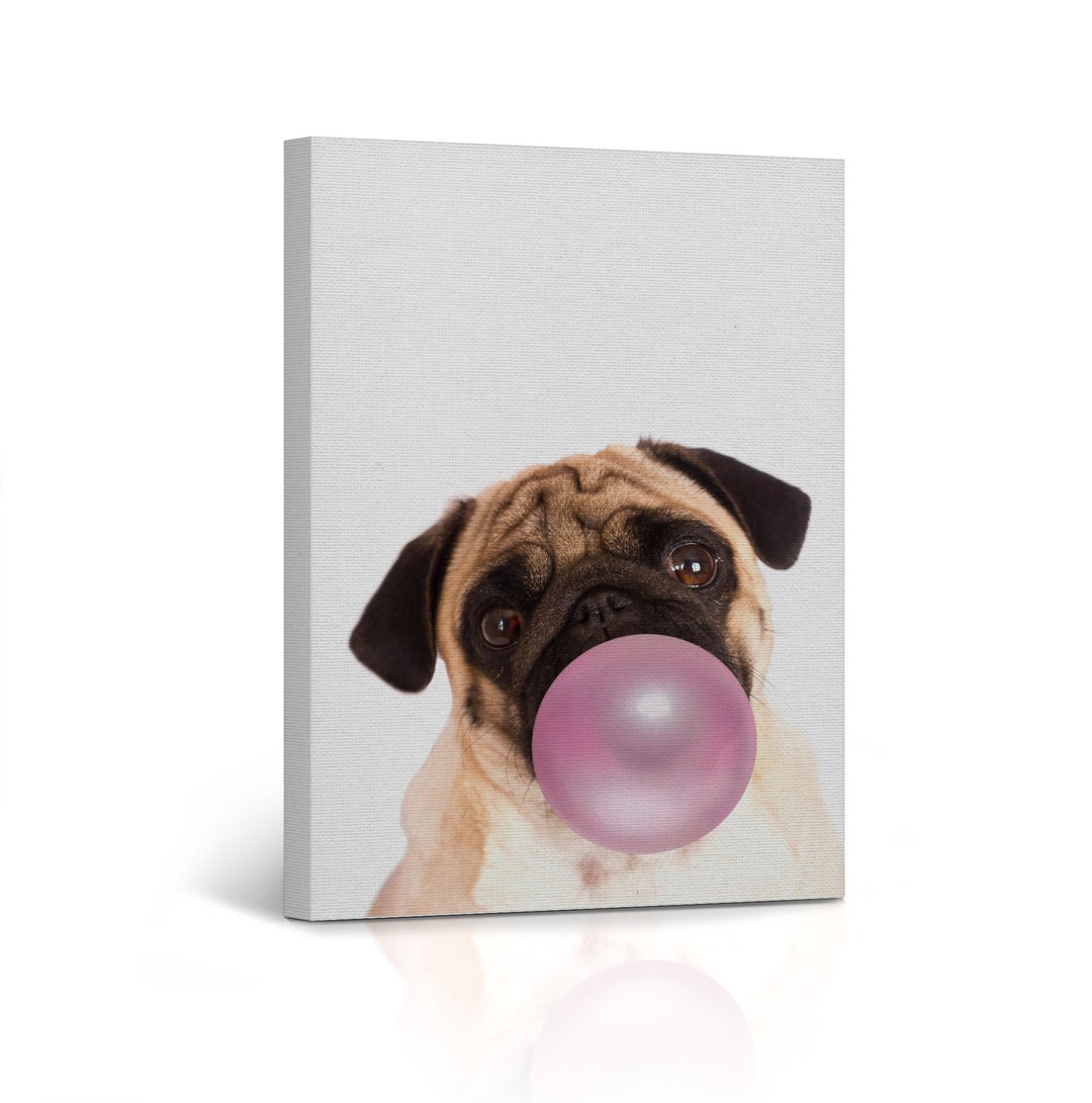 Cute Puppy Pug Dog Blowing Pink Bubble Gum Colored Portrait Pop Art ...