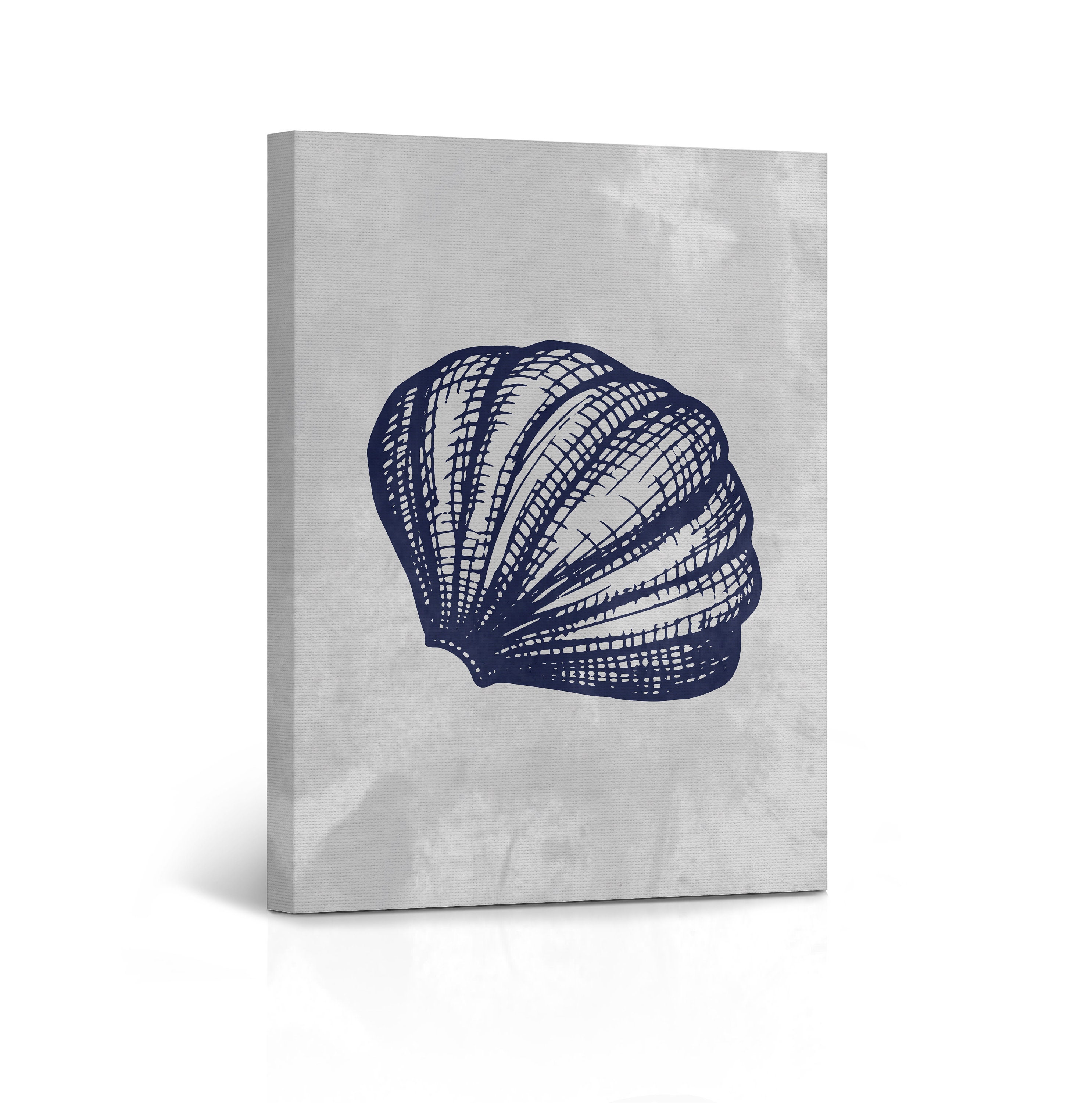 Seashells Navy Blue Illustration Old White Coastal Decor 3 | Etsy