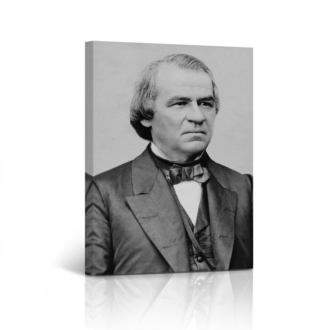 17th President of the United States of America Portrait of Andrew ...