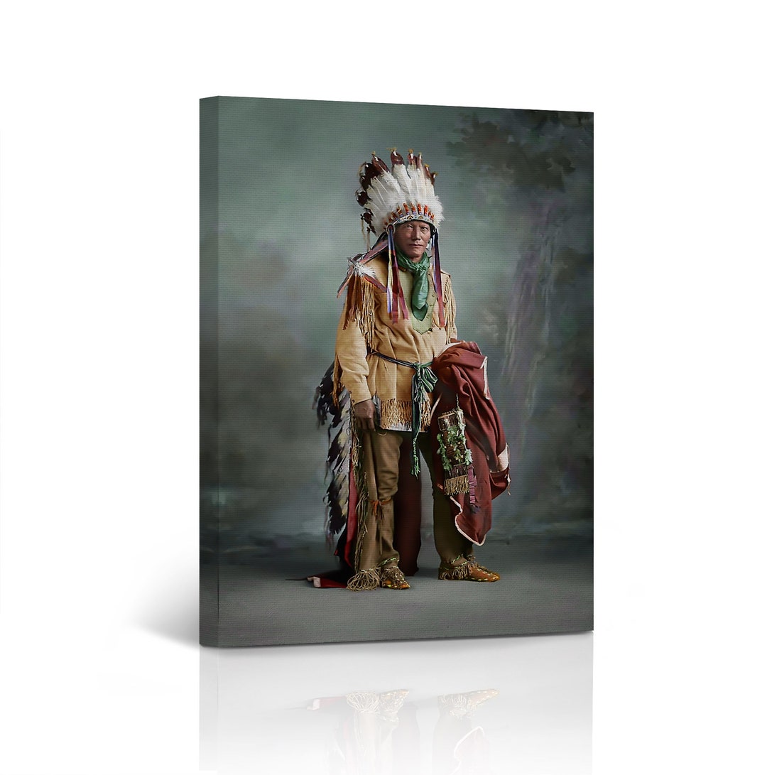 Portrait of a Native American with Brown Headdress Living Room Bedroom ...