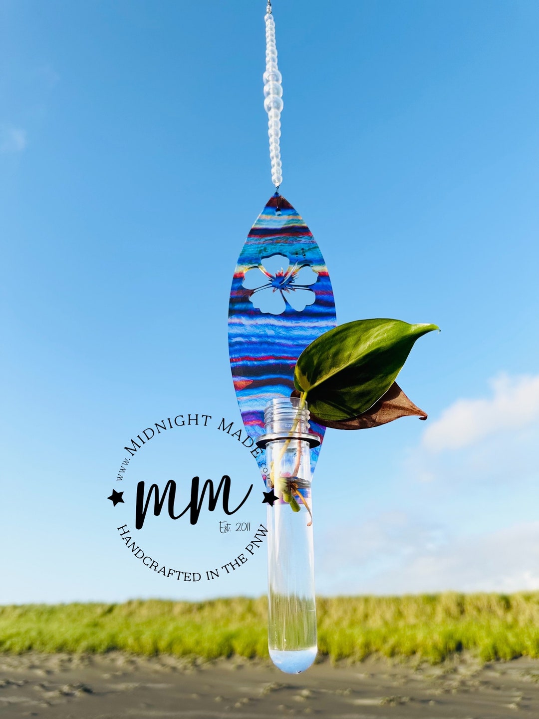 Surfing Surfboard Shape Plant Propagation Suncatcher - Etsy