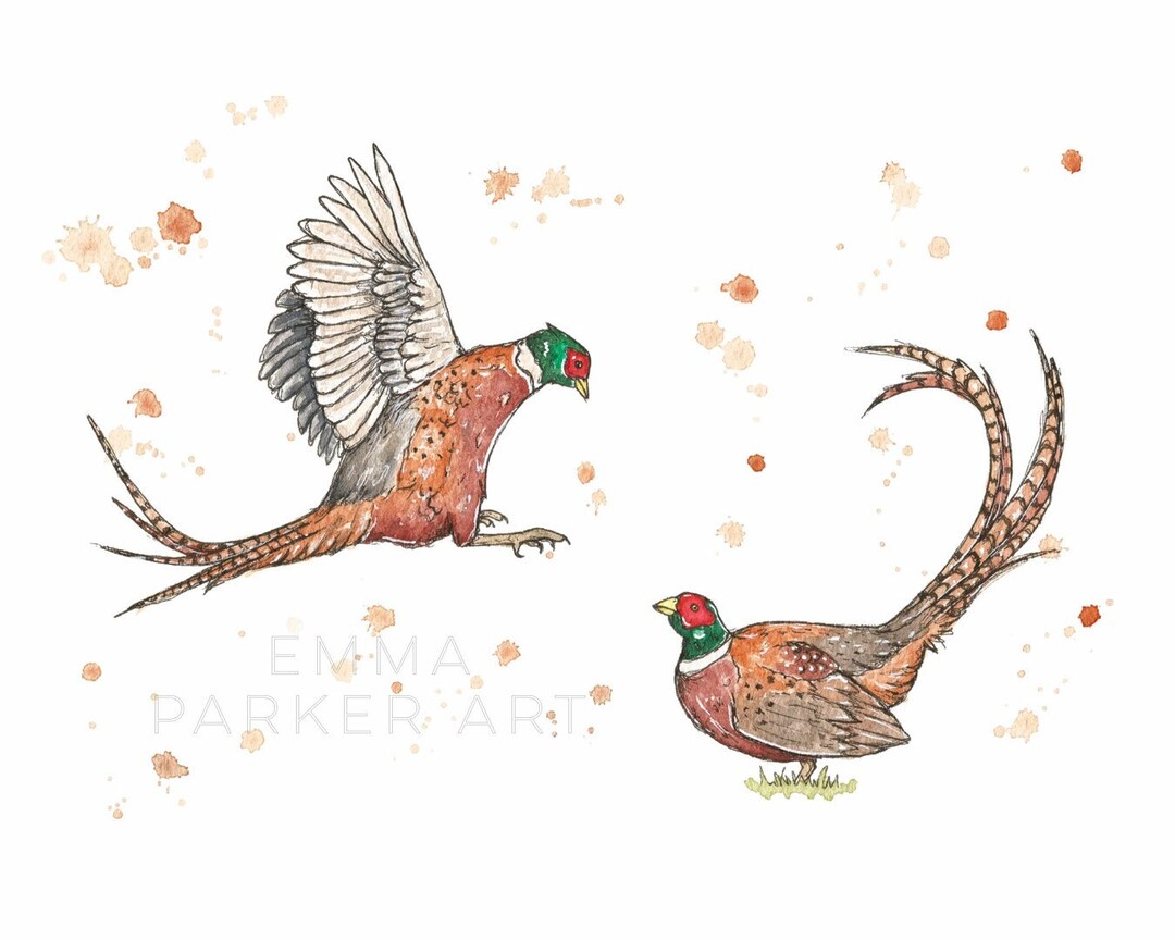 Watercolour Pheasant Fine Art Print ‘fight or Flight’ | Watercolour ...