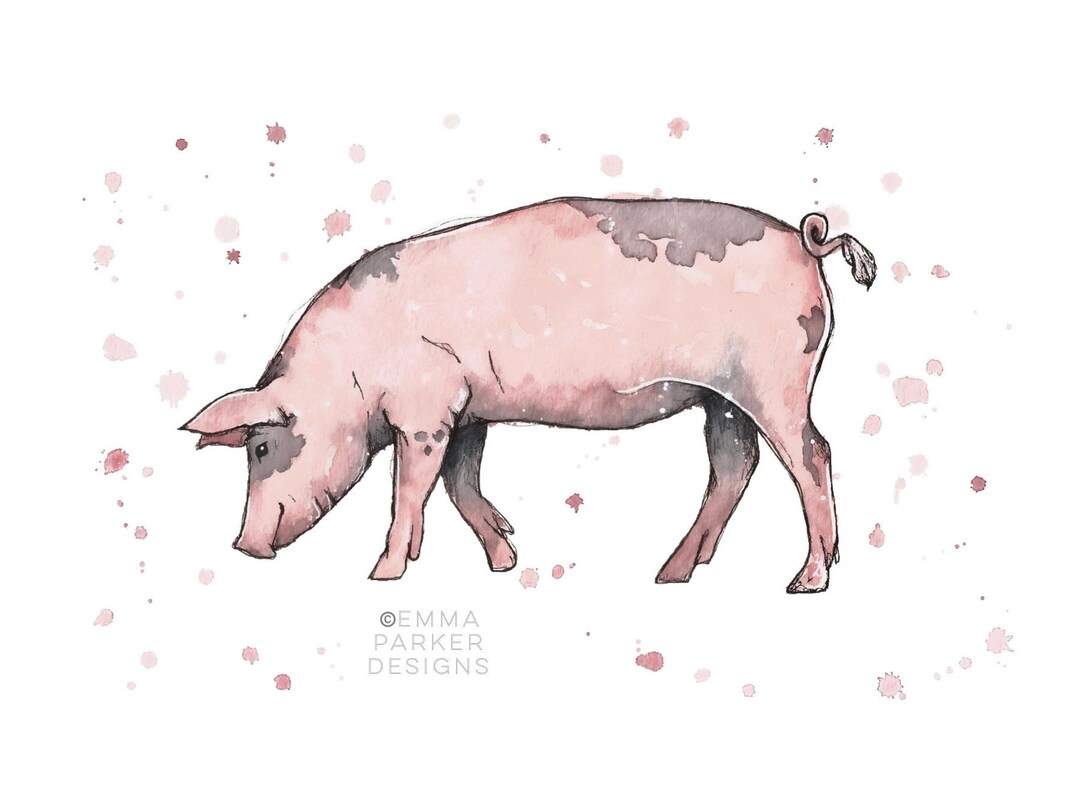 Cute Watercolour Pig Fine Art Print ‘tickled Pink’ | Pig Print | Cute ...