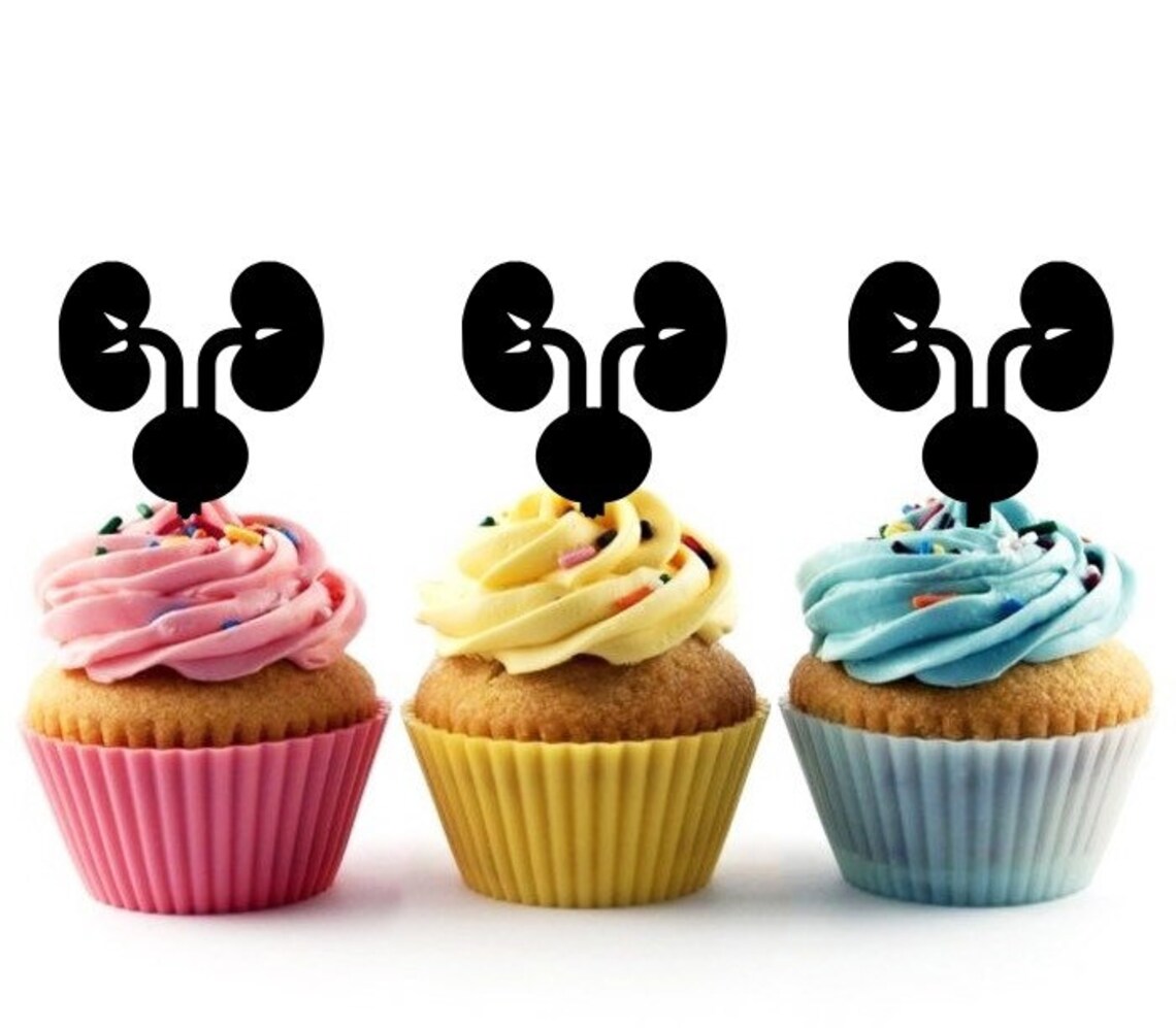 Organ Kidney 10 Toppers Laser Cut Acrylic for Wedding Birthday | Etsy