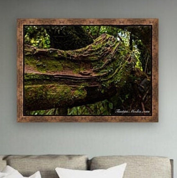 Kamahi Tree Goblin Forest Taranaki National Park New | Etsy