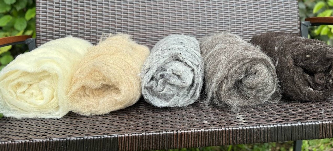 Sample Pack - 5x100g Carded Wool Natural Colored From 5 Different Rare ...