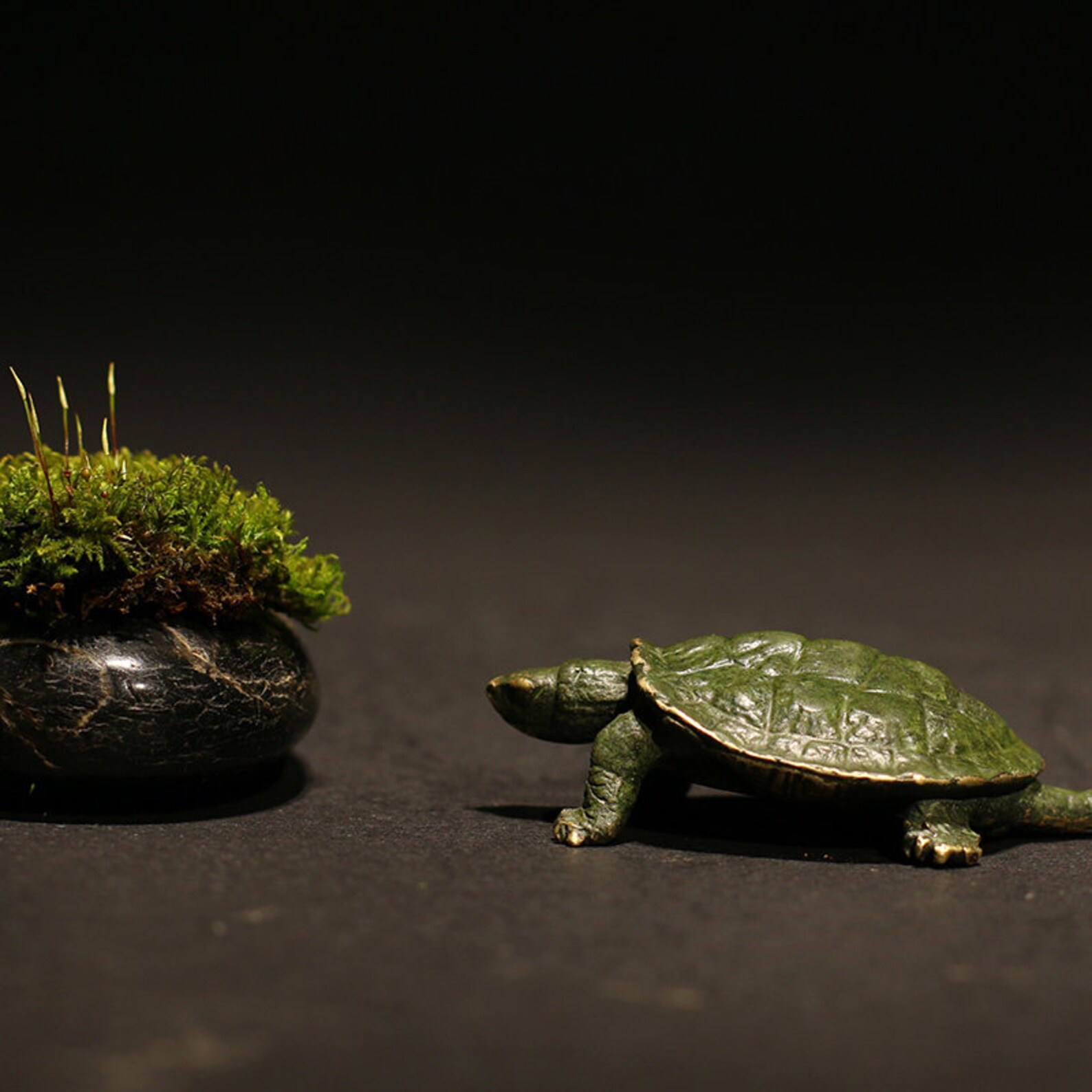 Chinese Green Feng Shui Longevity Turtle Brass - Etsy