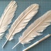 Buy Tissue Paper Feathers, Vegan Feathers, Fake Feather Online in India ...