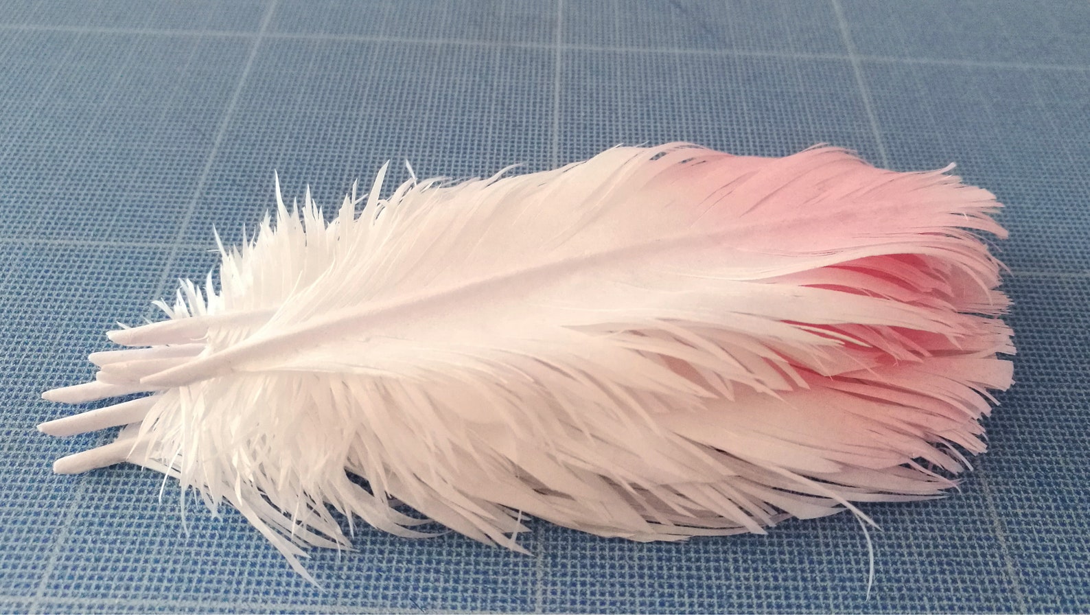 Lot Vegan Feathers in Tissue Paper Table Decoration Interior - Etsy
