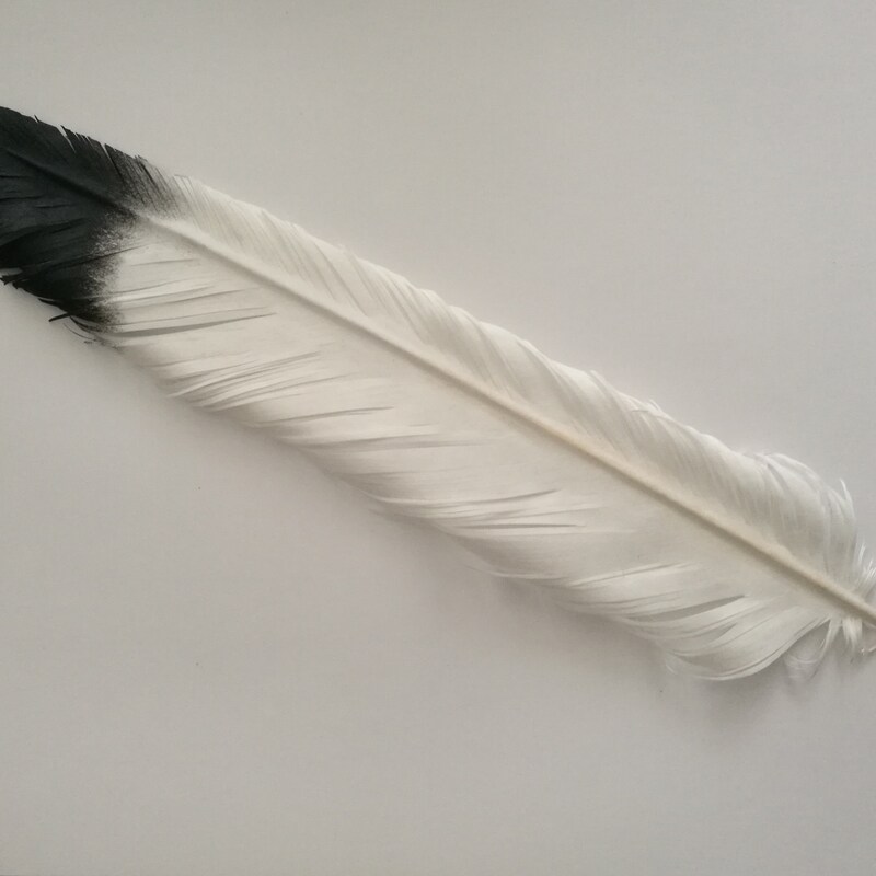 Feather Table Decorations - Etsy