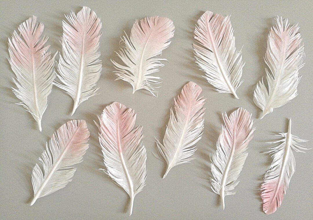 Lot Vegan Feathers in Tissue Paper Table Decoration Interior - Etsy