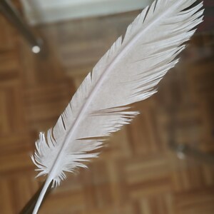Tissue Paper Feathers, Vegan Feathers, Fake Feather - Etsy