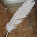 Buy Tissue Paper Feathers, Vegan Feathers, Fake Feather Online in India ...