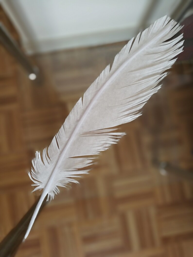 Tissue Paper Feathers, Vegan Feathers, Fake Feather - Etsy