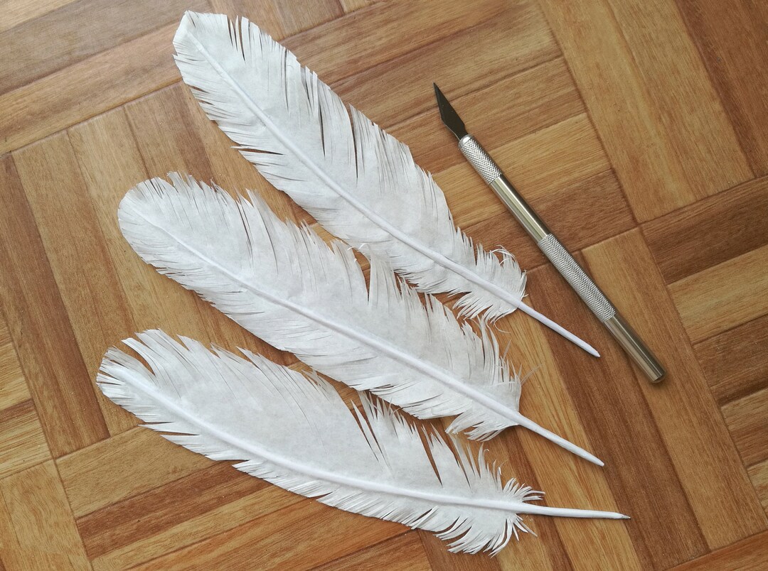 Tissue Paper Feathers, Vegan Feathers, Fake Feather - Etsy
