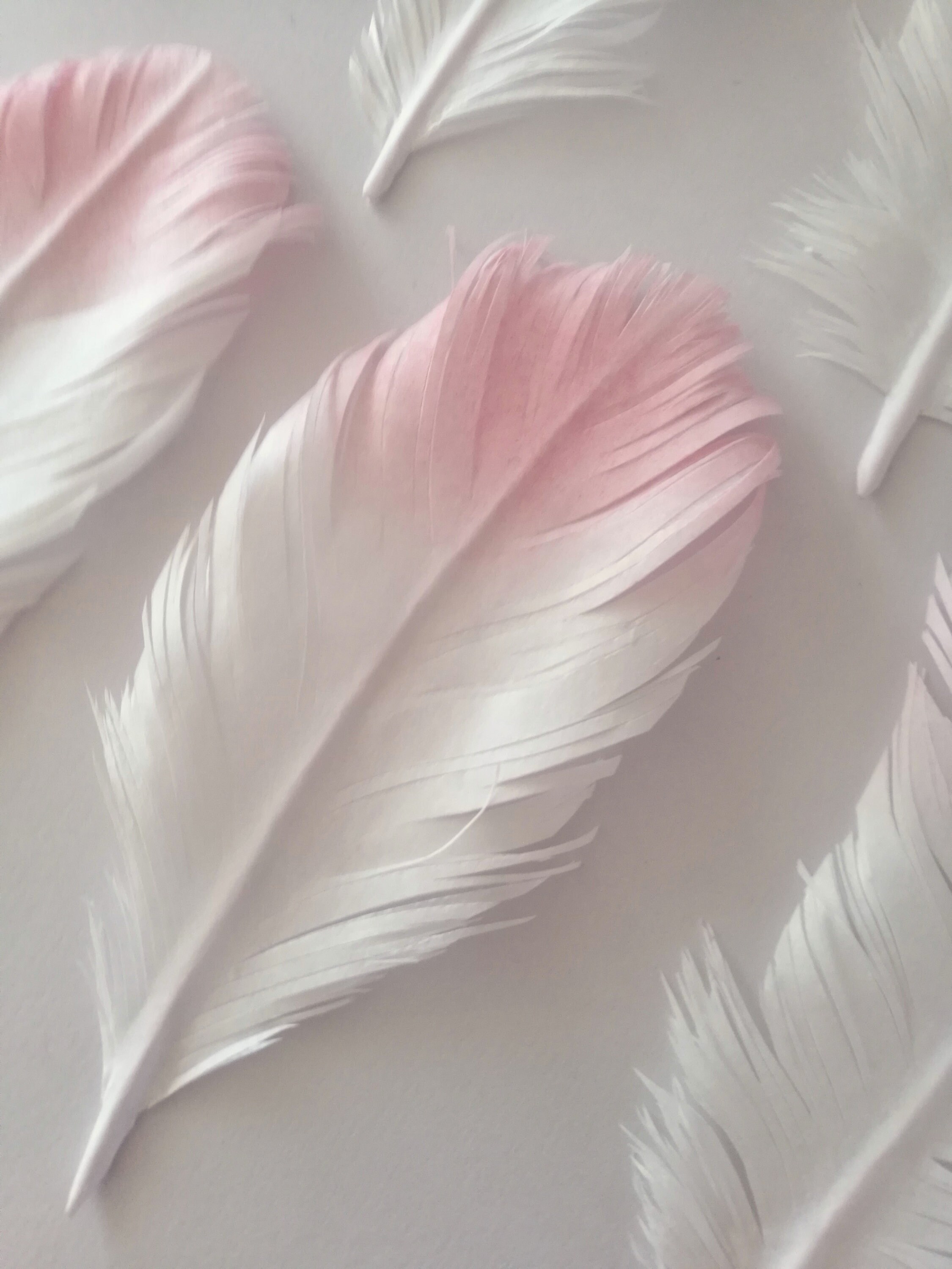 Lot Vegan Feathers in Tissue Paper Table Decoration Interior - Etsy