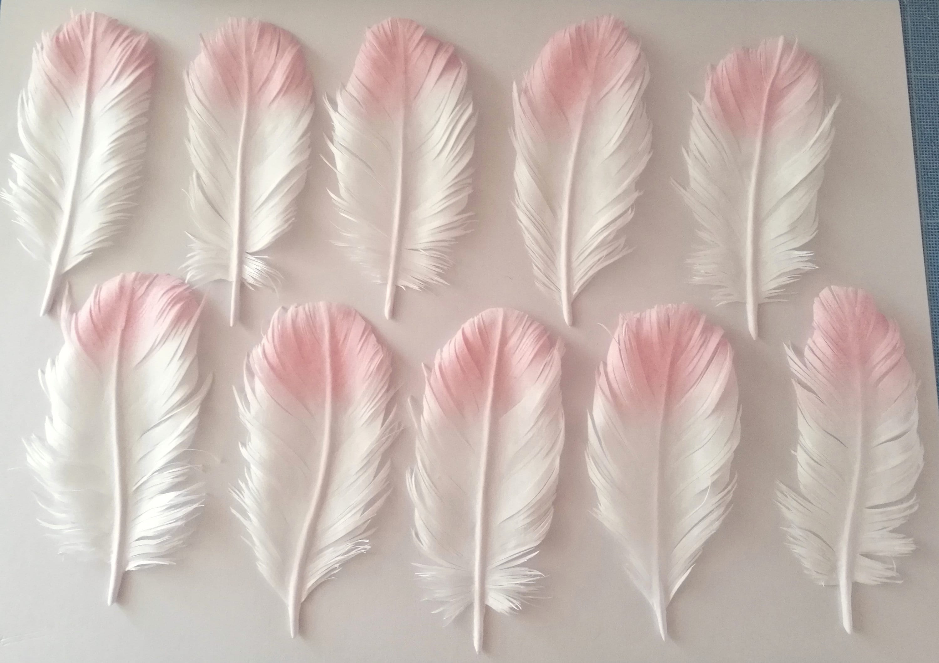 Lot Vegan Feathers in Tissue Paper Table Decoration Interior - Etsy