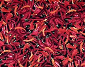 Hot Chilli Fabric Chillis B-01 by Laura May Designs Red Chilli Pepper ...