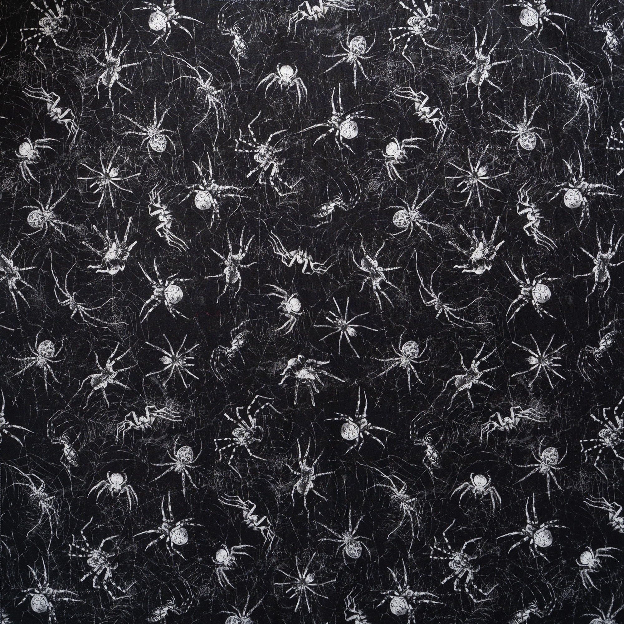 Spiders & Webs Designer 100% Cotton Fabric by Timeless Treasures ...