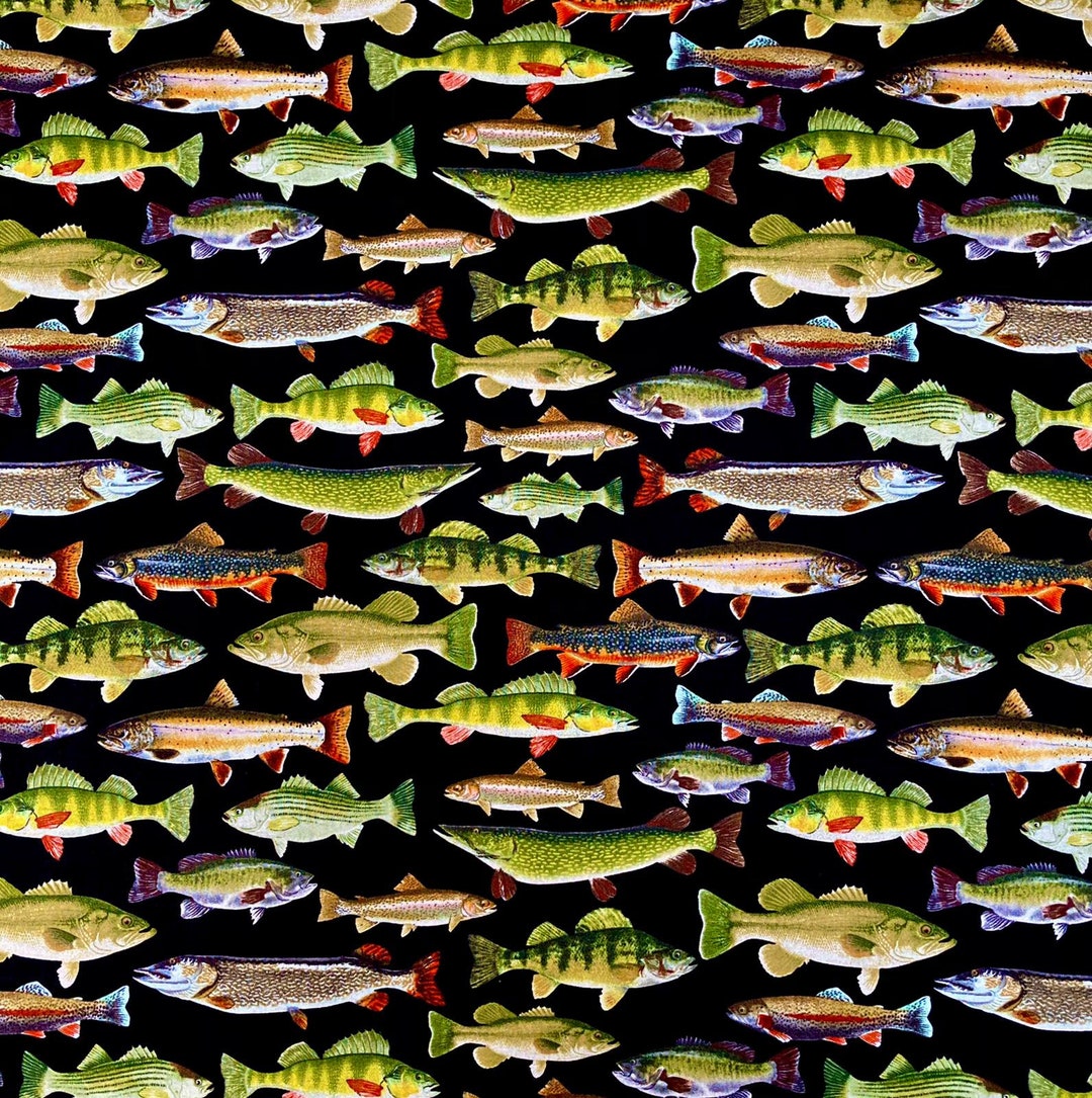 Metre of a Great Design With a Variety of Fish Perfect for Making Face ...