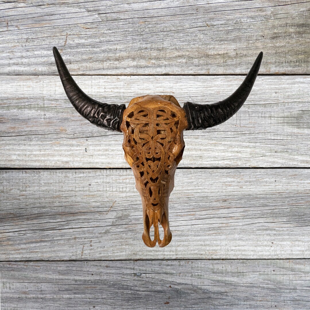 Beautifully Hand Carved Buffalo Skull With a Celtic Knotwork Design ...