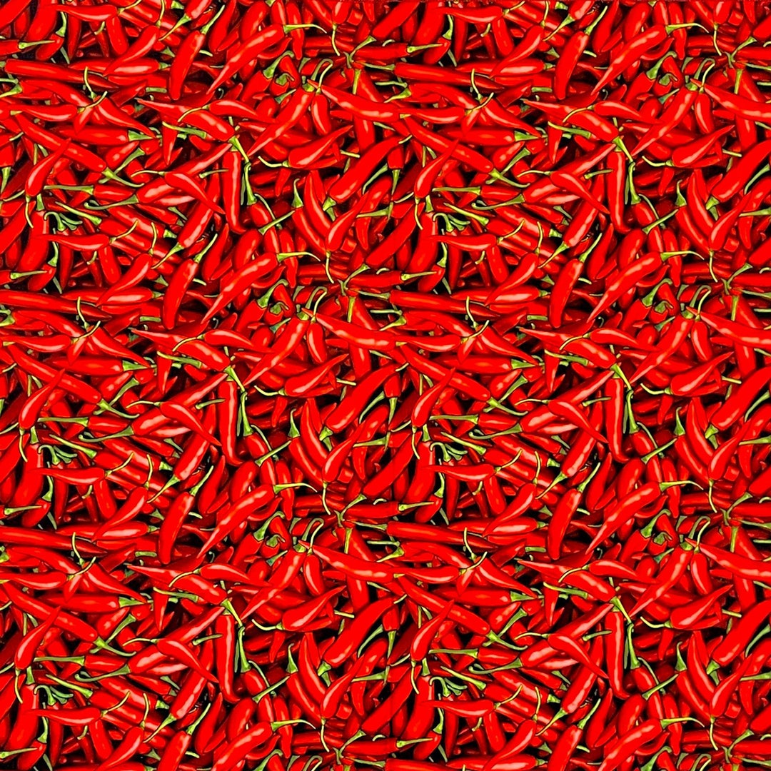 Chili Pepper Fabric From Timeless Treasures 100% Cotton Perfect for ...