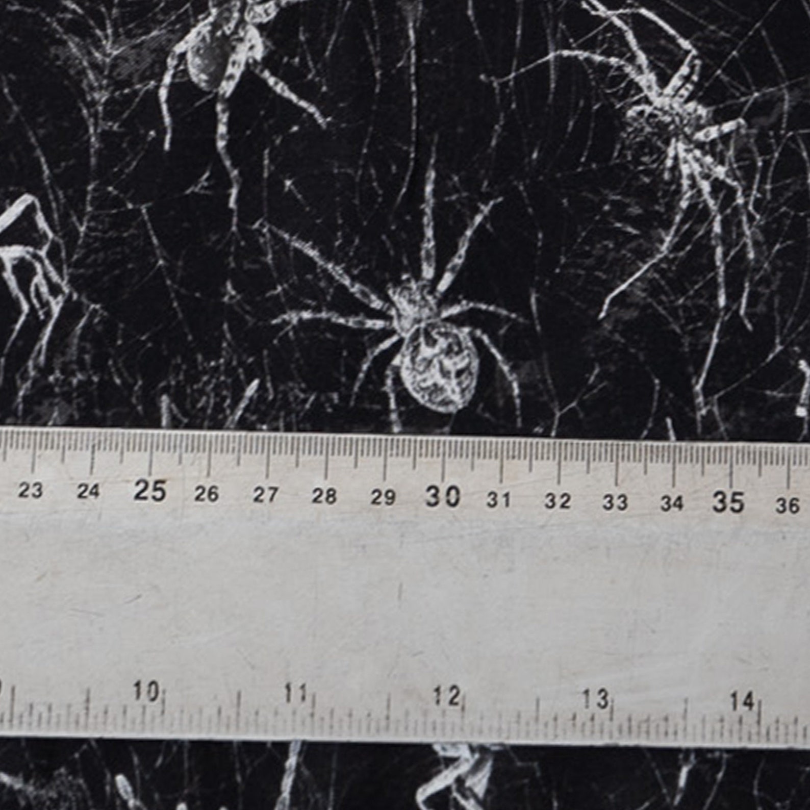 Creepy Spider & Web ~ Designer Bandana, Also Can Be Worn as a Headband ...