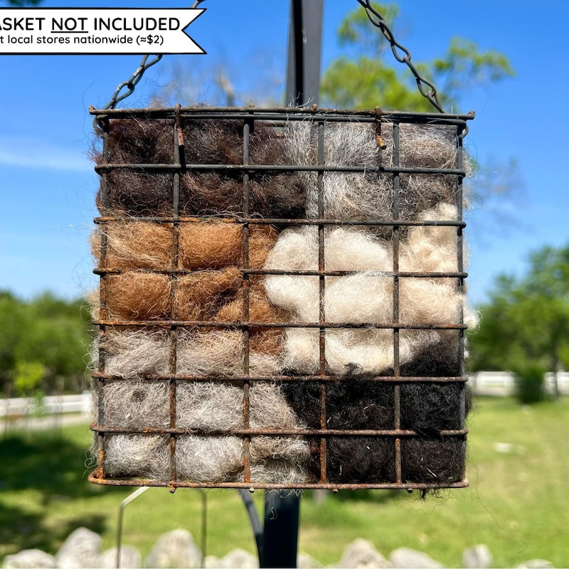 Alpaca for Bird - Etsy