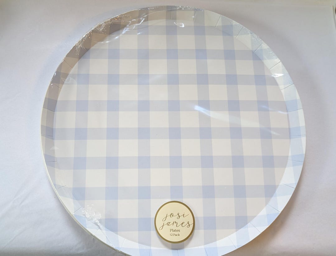 Blue Gingham Large Plates (12 Ct.) - Etsy