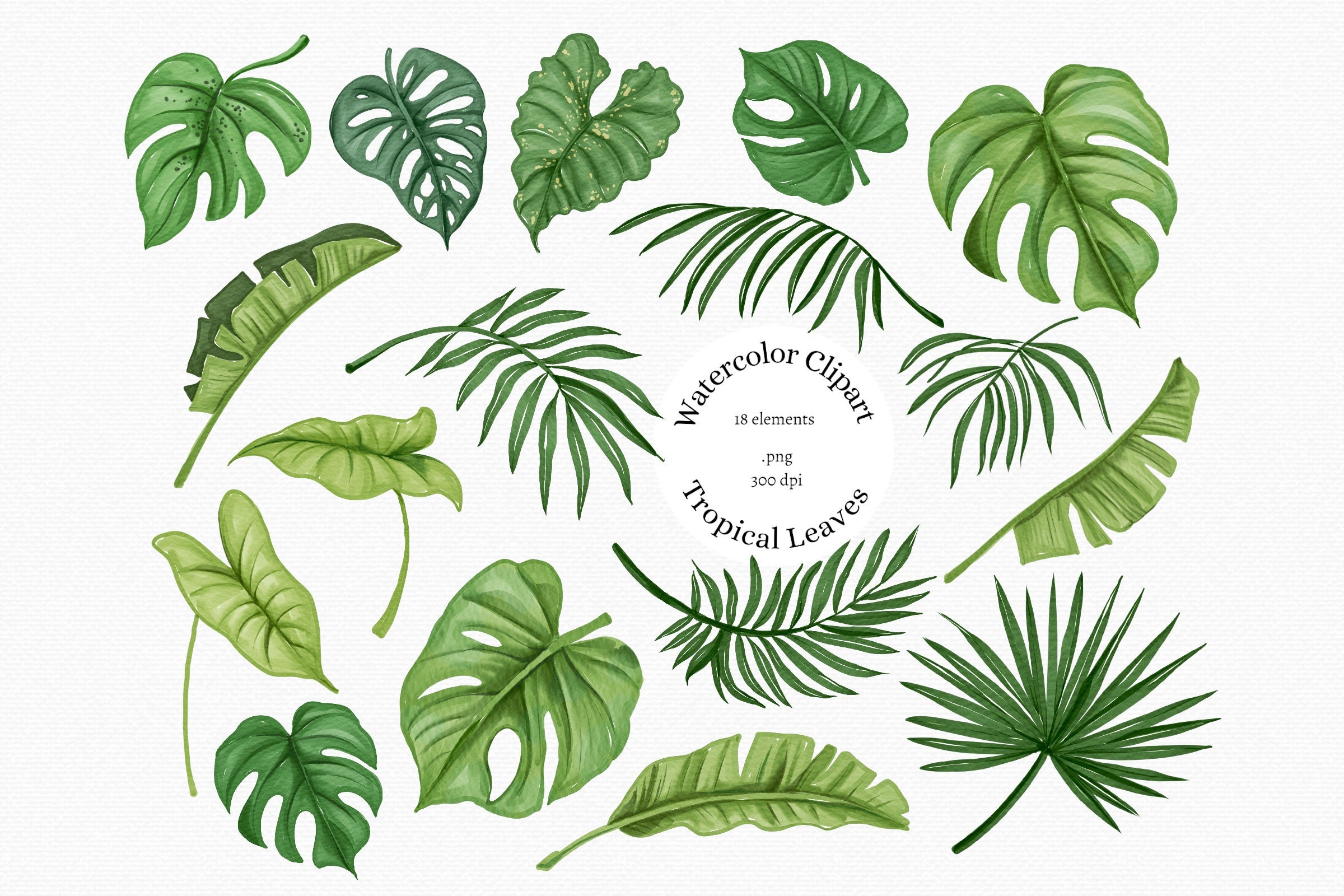Tropical Leaves Clip Art