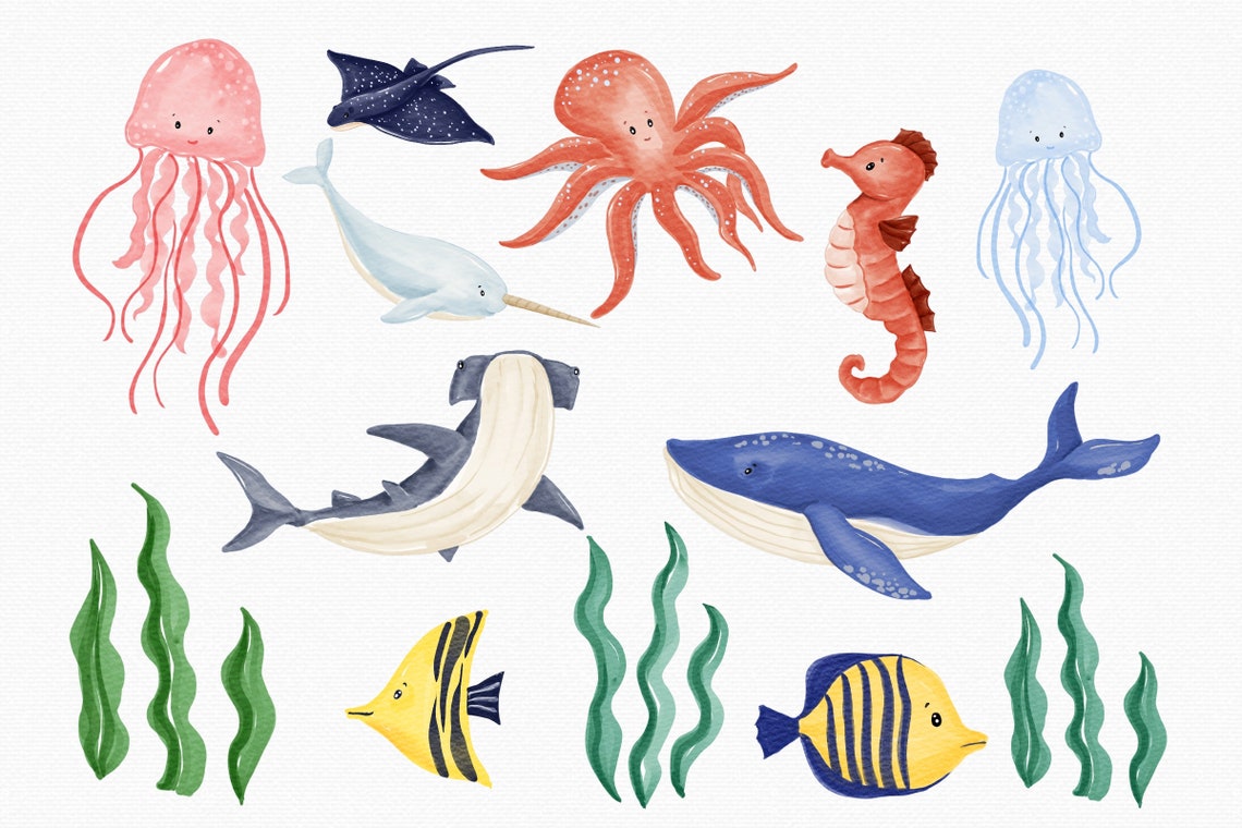 Watercolor Ocean Animals Clipart Sea Creatures Clipart - Etsy