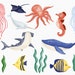 Watercolor Ocean Animals Clipart: Sea Life PNG (digital Download) - Etsy