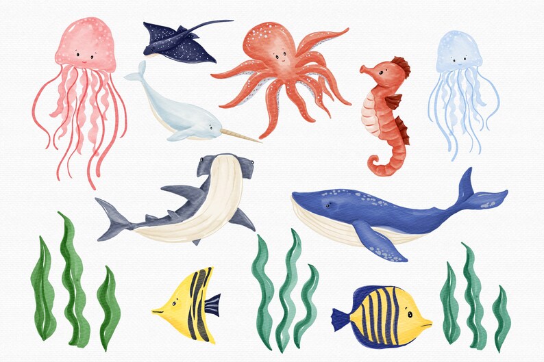 Watercolor Ocean Animals Clipart Sea Creatures Clipart - Etsy