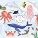 Watercolor Ocean Animals Clipart: Sea Life PNG (digital Download) - Etsy