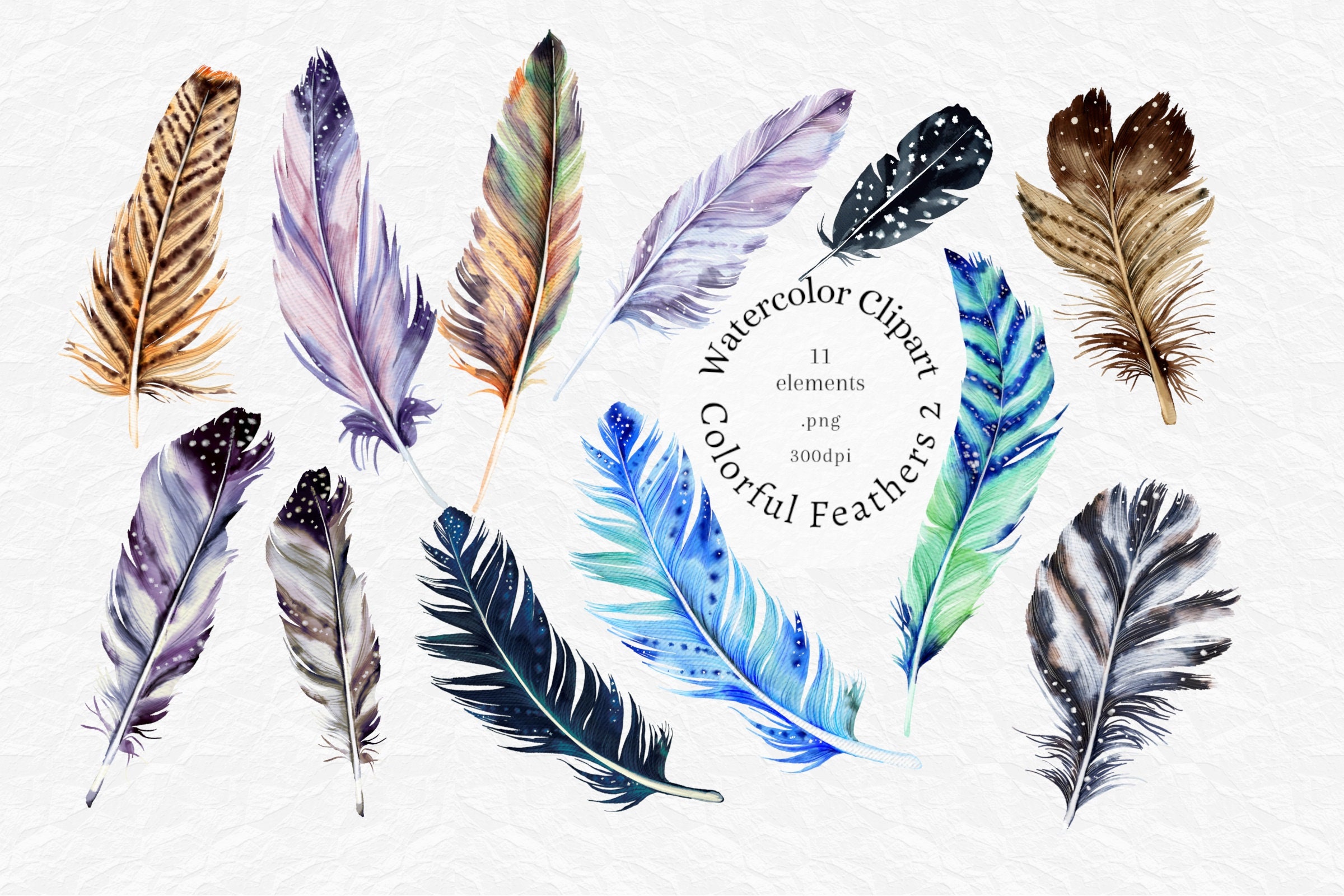 Watercolor Feather Clip Art