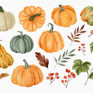 Pumpkins Clipart, Fall Pumpkins Clip Art, Fall Harvest, Watercolor ...