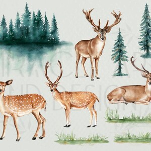 Woodland Clipart, Watercolor Deer Clip Art, Winter, Mountain Landscape ...