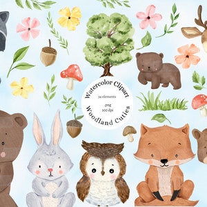 Woodland Animals Clipart, Watercolor Woodland Clipart, Forest, Nursery ...