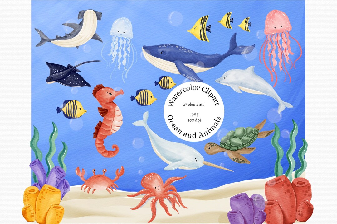 Watercolor Ocean Animals Clipart: Sea Life PNG (digital Download) - Etsy