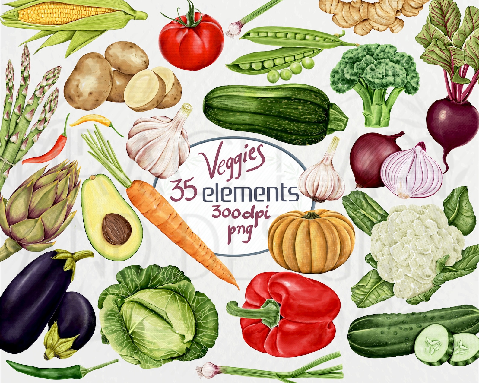 Watercolor Vegetable Clipart Fall Harvest clip art Autumn | Etsy
