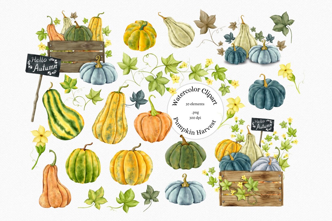 Watercolor Fall Clipart Pumpkin Clipart Fall Harvest Autumn - Etsy