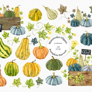 Watercolor Fall Clipart Pumpkin Clipart Fall Harvest Autumn - Etsy