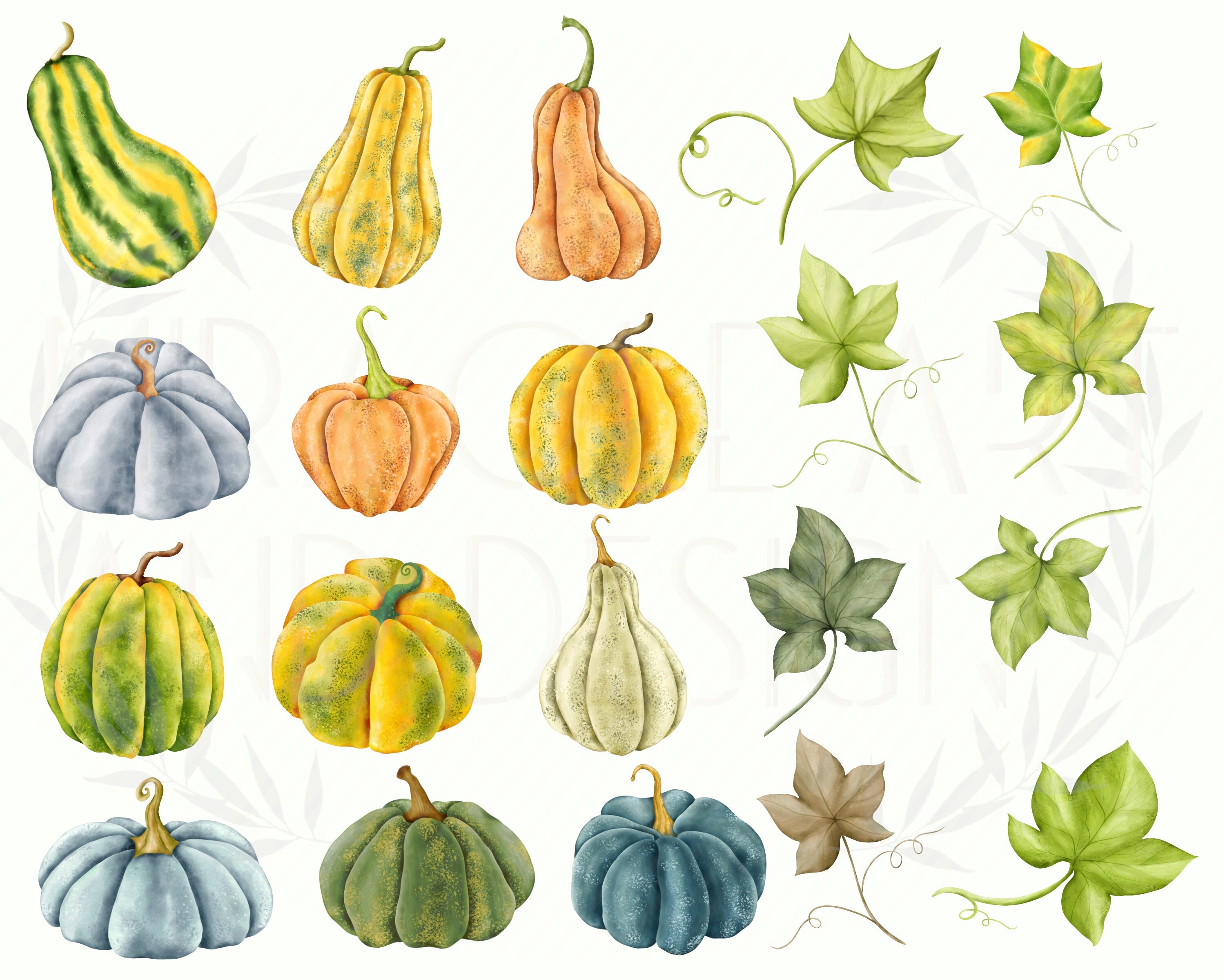 Watercolor Fall Clipart Pumpkin Clipart Fall Harvest Autumn - Etsy